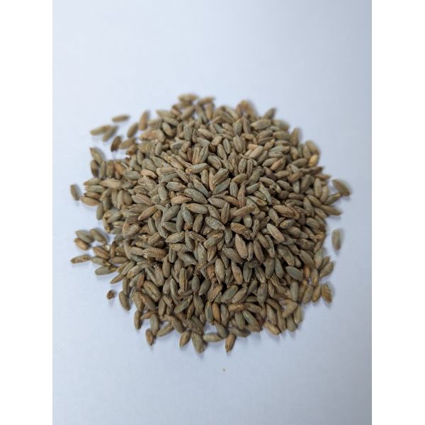 Seigle malté | Malterie Caux Laflamme | Aliments du Québec